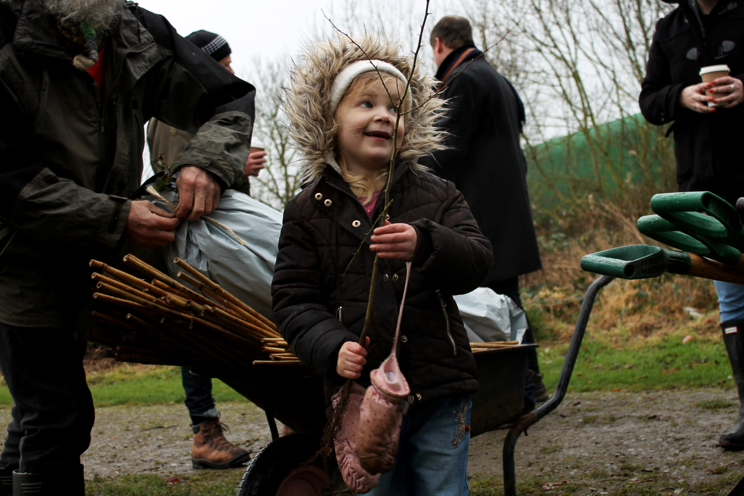 Rugby club gives trees a try - REPORTING THE GREEN REVOLUTION